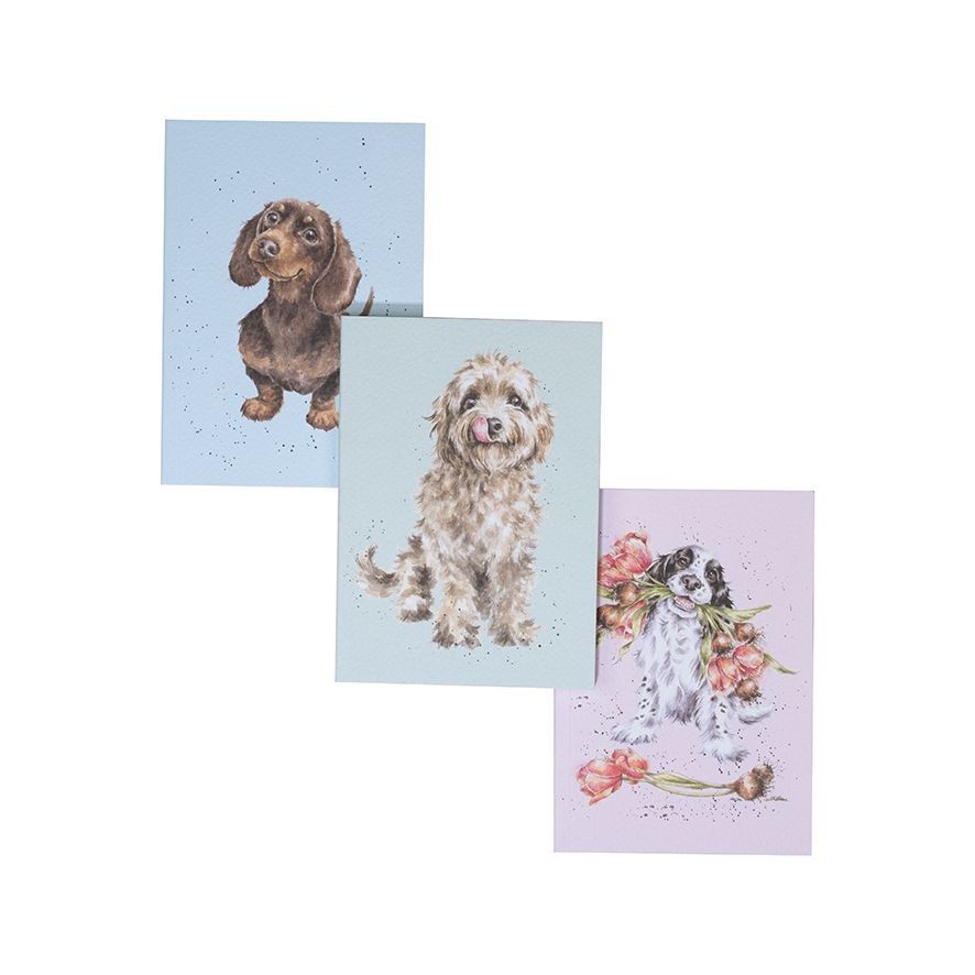 Wrendale - A Dog's Life Set of 3 Notebooks - Suzie et Gus